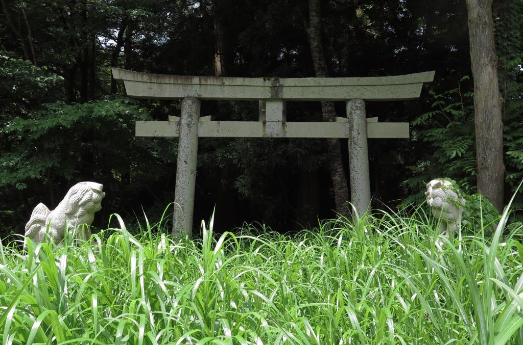 One Schlock's Requiem // Abandoned Sorei Settlement 草嶺集落