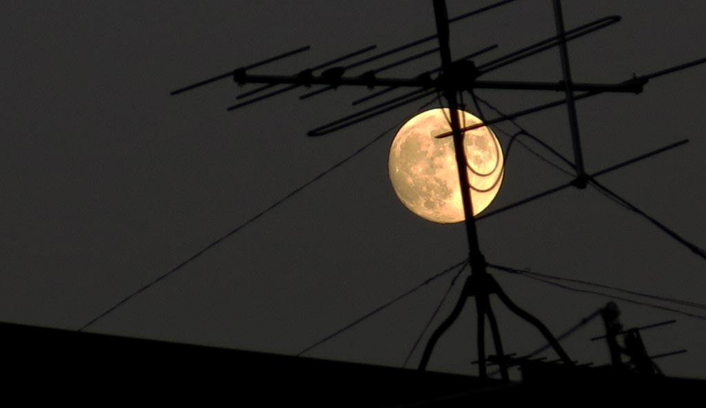 One Schlock's Requiem // October Hunter's Blood Moon Eclipse